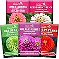 Amazon.com : NatureZ Edge Zinnia Seeds for 2025 Planting Outdoors, Over 550 Non GMO Made in USA ...