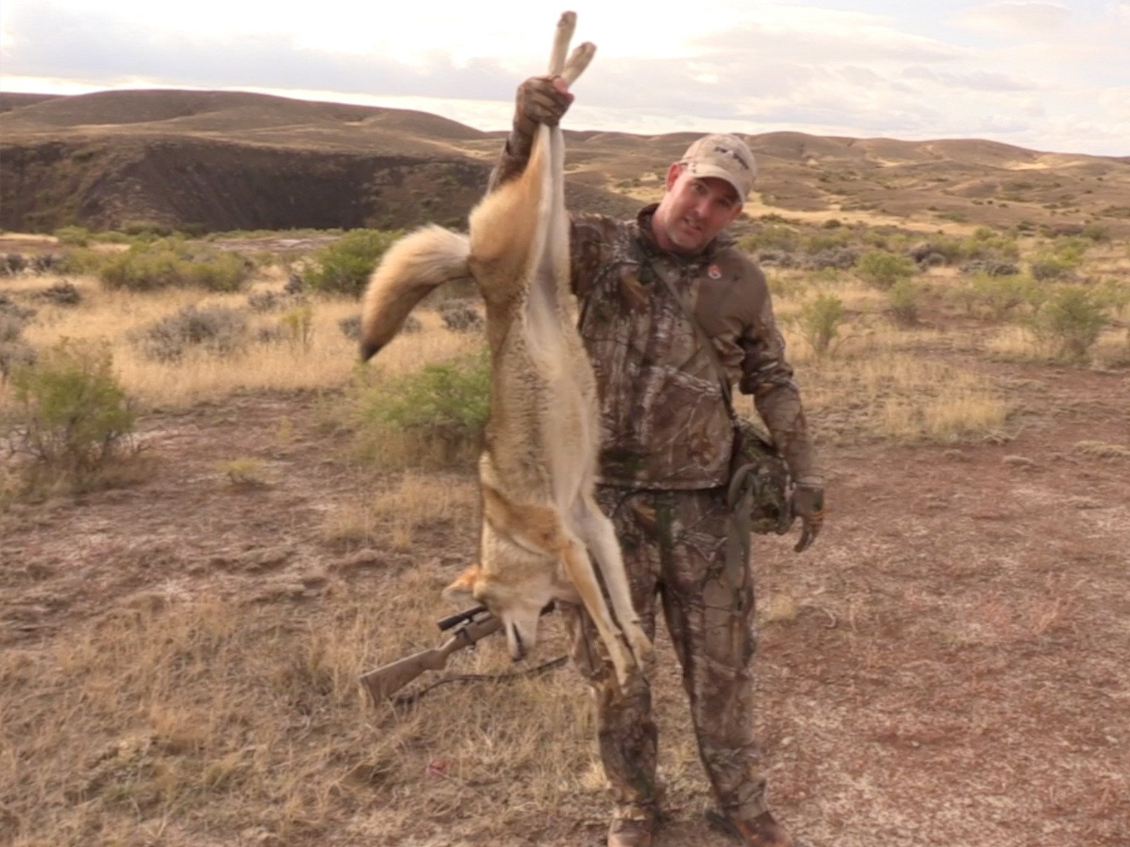 Watch Tooth & Claw | Prime Video