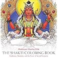 Amazon.com: The Shakti Coloring Book: Goddesses, Mandalas, and the ...