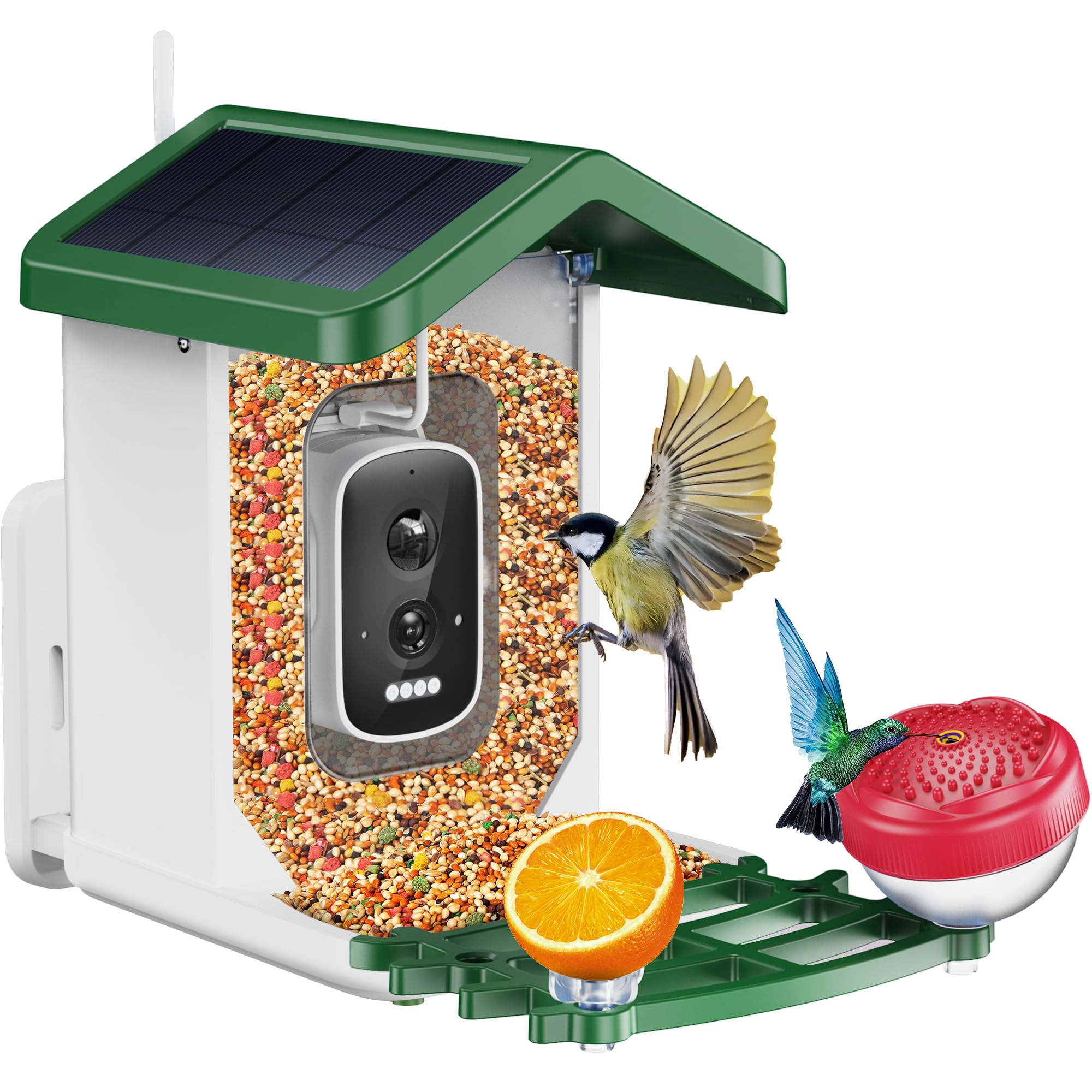 ImmSss Bird Feeder with Camera,Smart AI Identify Species,Hummingbird ...