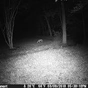 Amazon.com : Trail Camera, 2018 Upgraded Distianert 720P 12MP Hunting ...