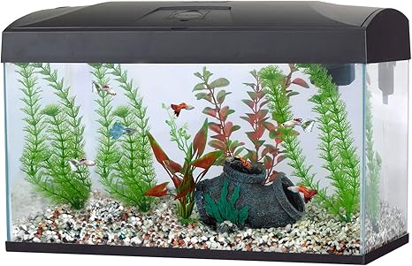 Fish 'R' Fun Rectangular Aquarium, 54 Litre Capacity, Black: Amazon.co ...