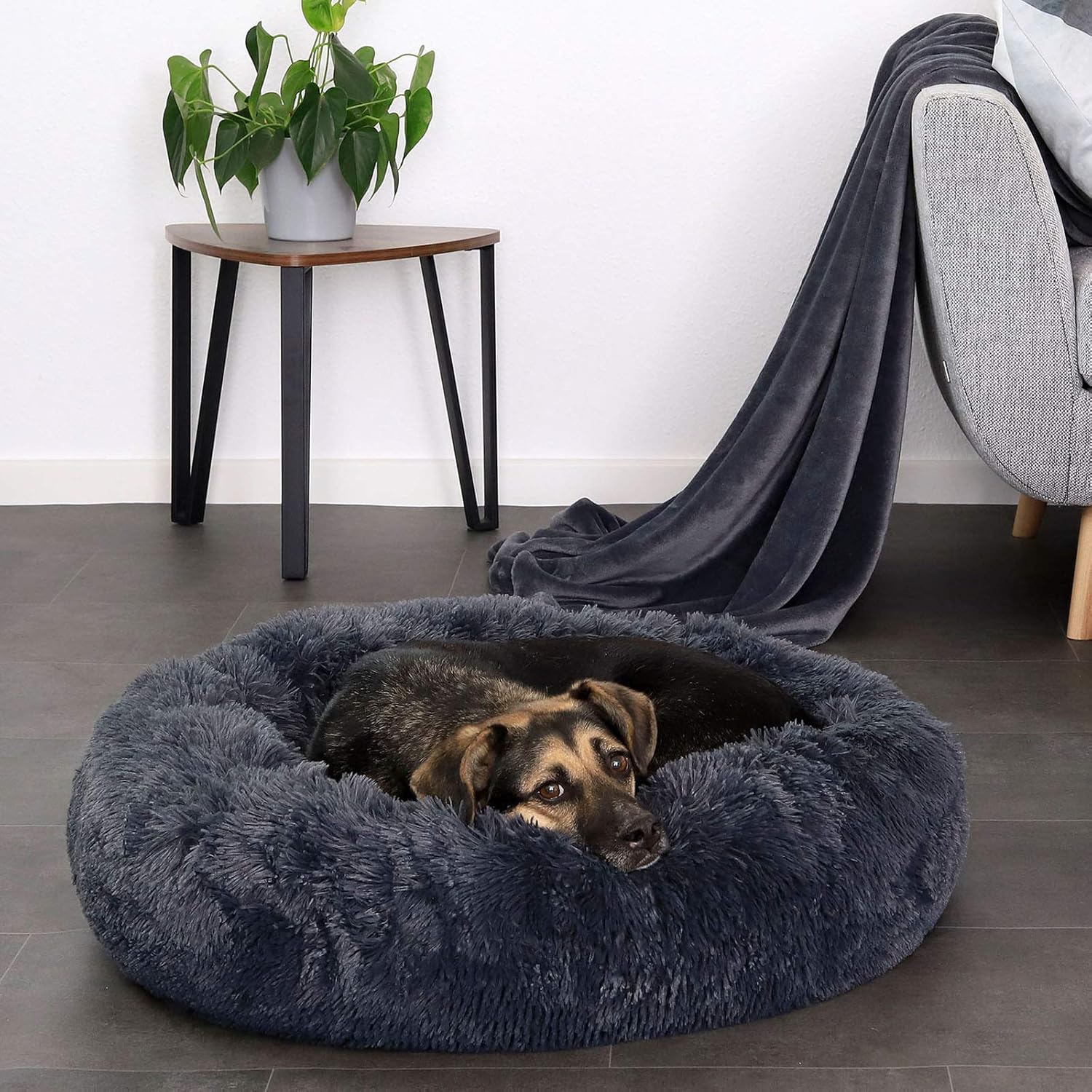 Small Dog Bed Lionto Donut Bed For Dogs And Cats, Fluffy Round Dog Bed ...