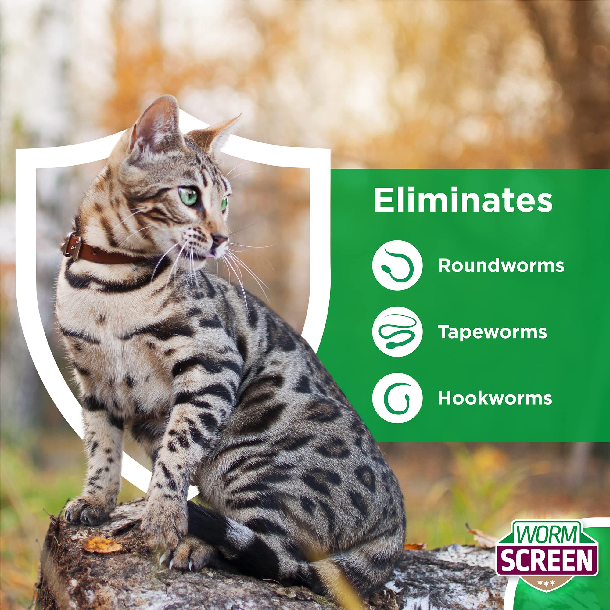 Mua WORM SCREEN Cat (2 tablets): Cat Worming Treatment - Veterinary ...