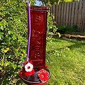 Amazon.com : Stokes Select More Birds Hummingbird Feeder, Glass ...