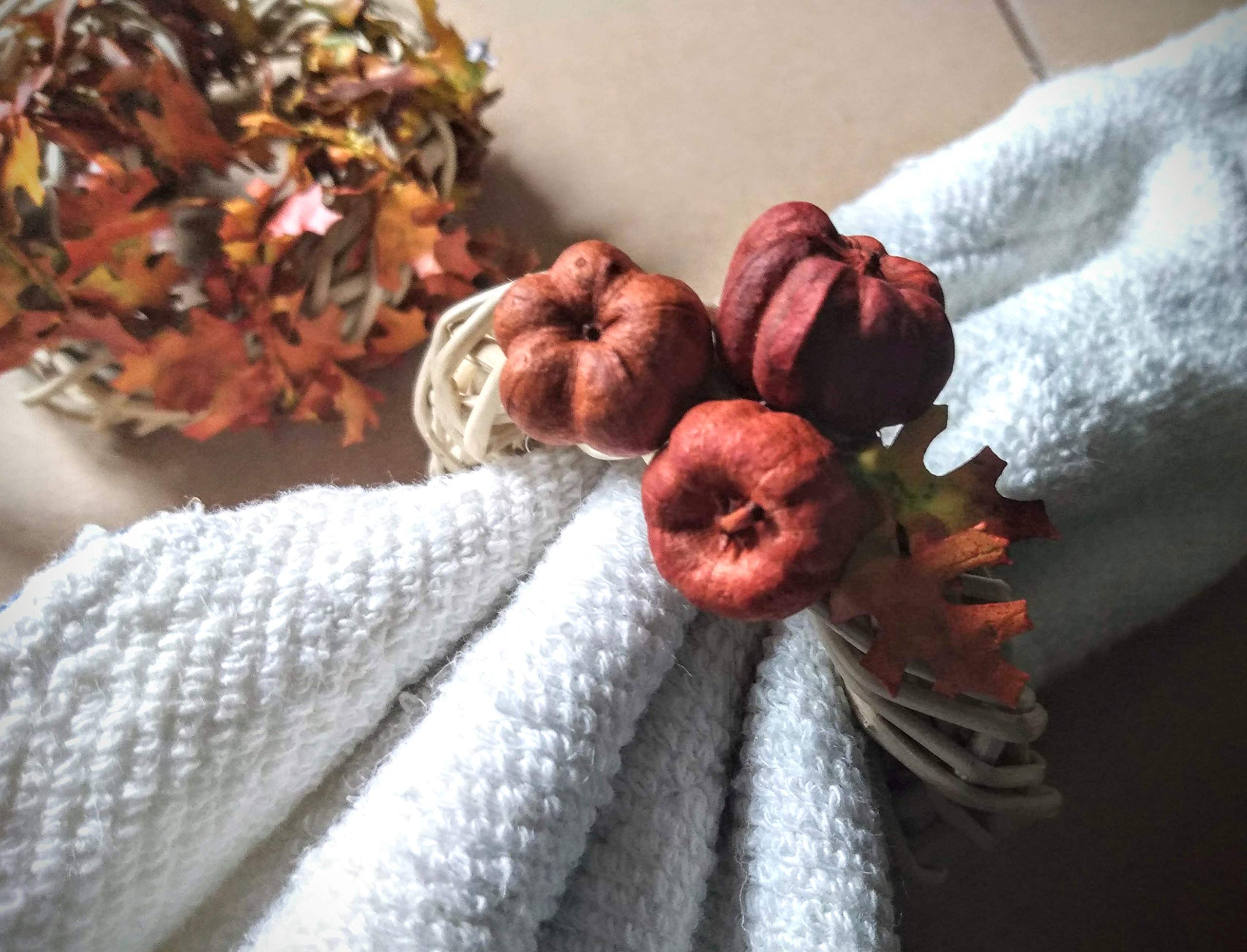 Red Garnet Studio shop Kuwait | Buy Red Garnet Studio products online Kuwait | Whizzcart