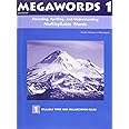 Amazon.com: Megawords 1: Multisyllabic Words for Reading, Spelling, and ...