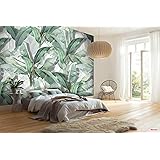 Norwall MH36534 Polynesian Leaves Wallpaper - - Amazon.com
