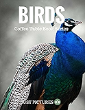 Amazon.com: Birds of Paradise: Revealing the World's Most Extraordinary ...