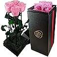 Amazon.com: EVEROSE – 100% Real Roses - 4 Preserved Long Stem Roses in ...