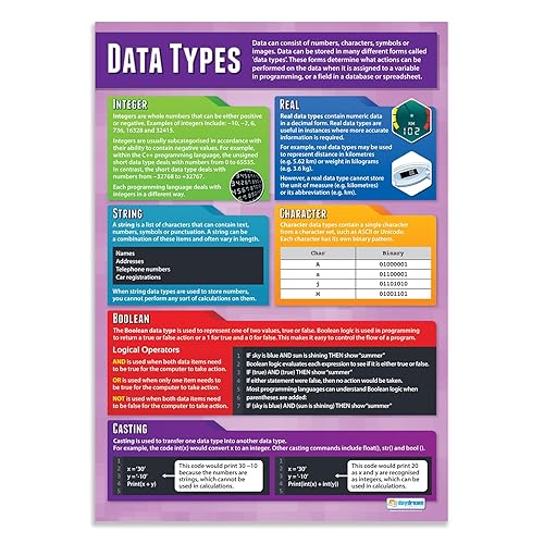 Daydream Education Data Types Computer Science Classroom Poster - EXTRA ...