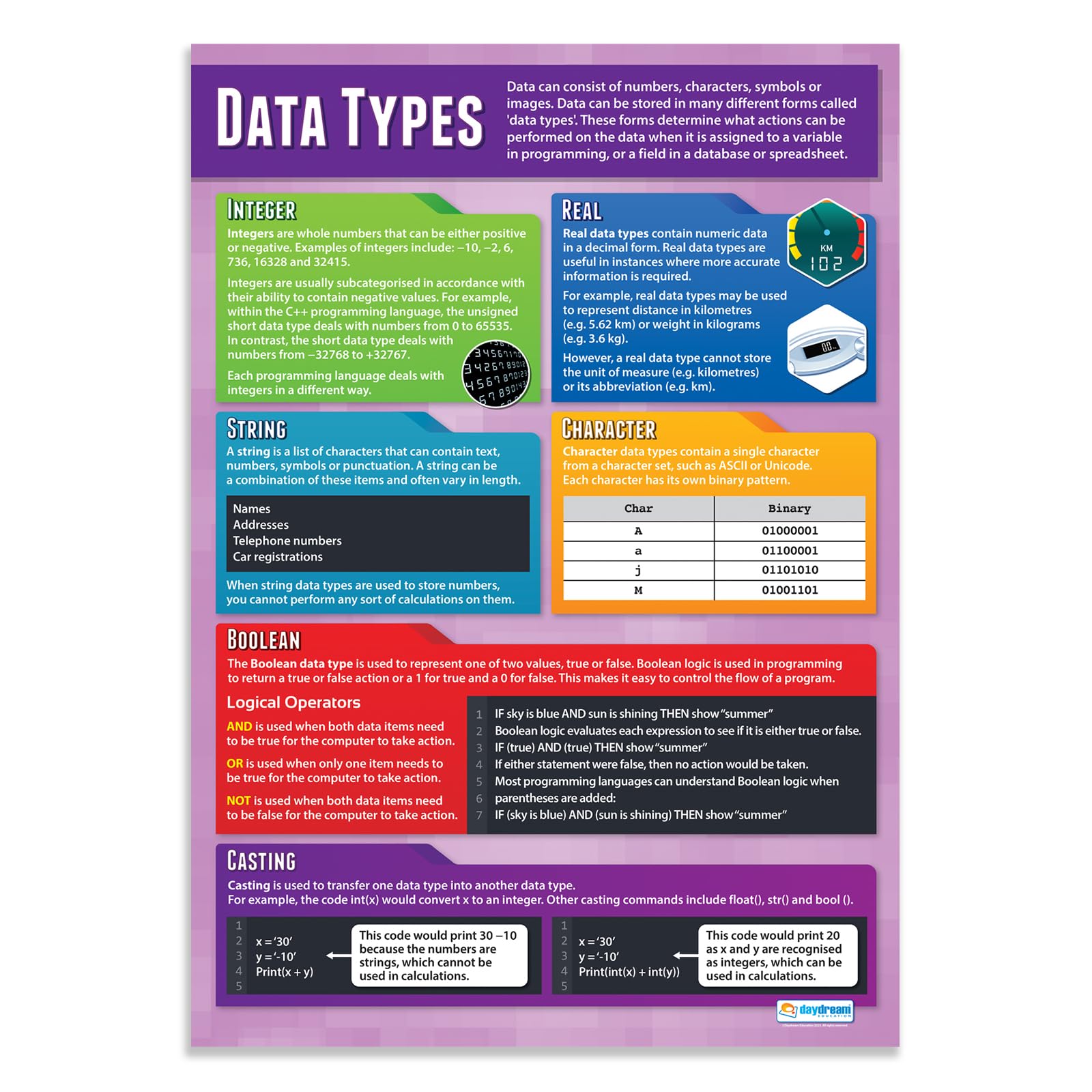 Daydream Education Data Types Computer Science Classroom Poster Extra Large 33” X 235