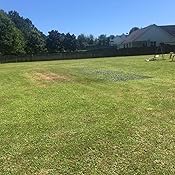 Amazon.com : TRUEGRID Root Grass Pavers, (18 Pack 72 sf) : Garden & Outdoor