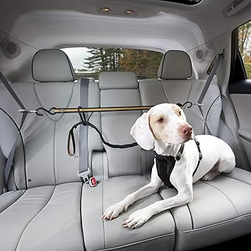 Hundegurt Auto, Sicherheitsgurt Hunde, Anschnallgurt Hund Auto ...