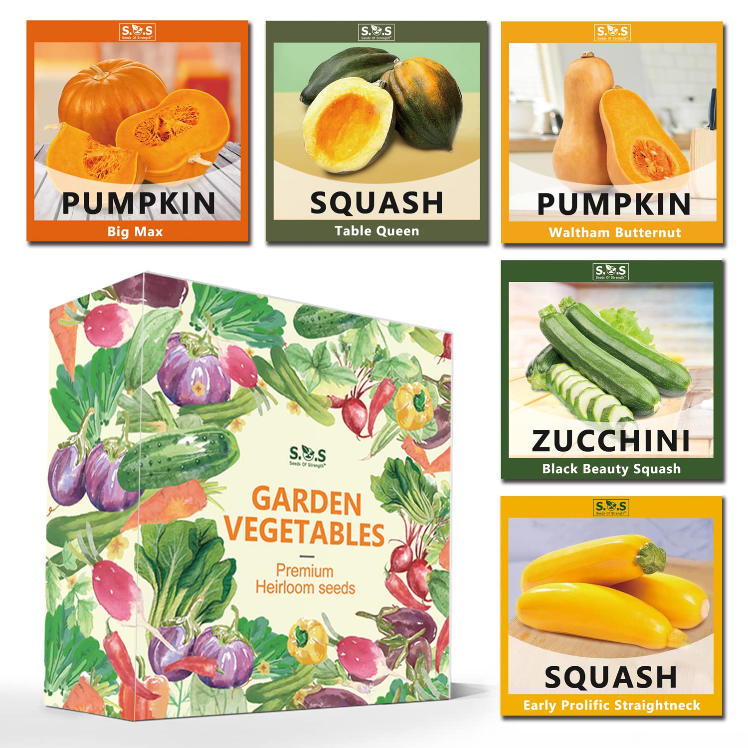 Planting 5 Individual Packets W/Garden Gift Box- Pumpkin, Big Max ...