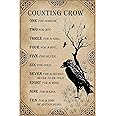Amazon.com: Retro Tin Signs Vintage Style Crows Poster Metal Sign ...