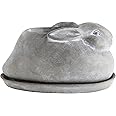 Amazon.com: Creative Co-Op Cement Rabbit Planter with Saucer (Set of 2 ...