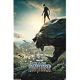 Amazon.com: Trends International Marvel Cinematic Universe-Black ...