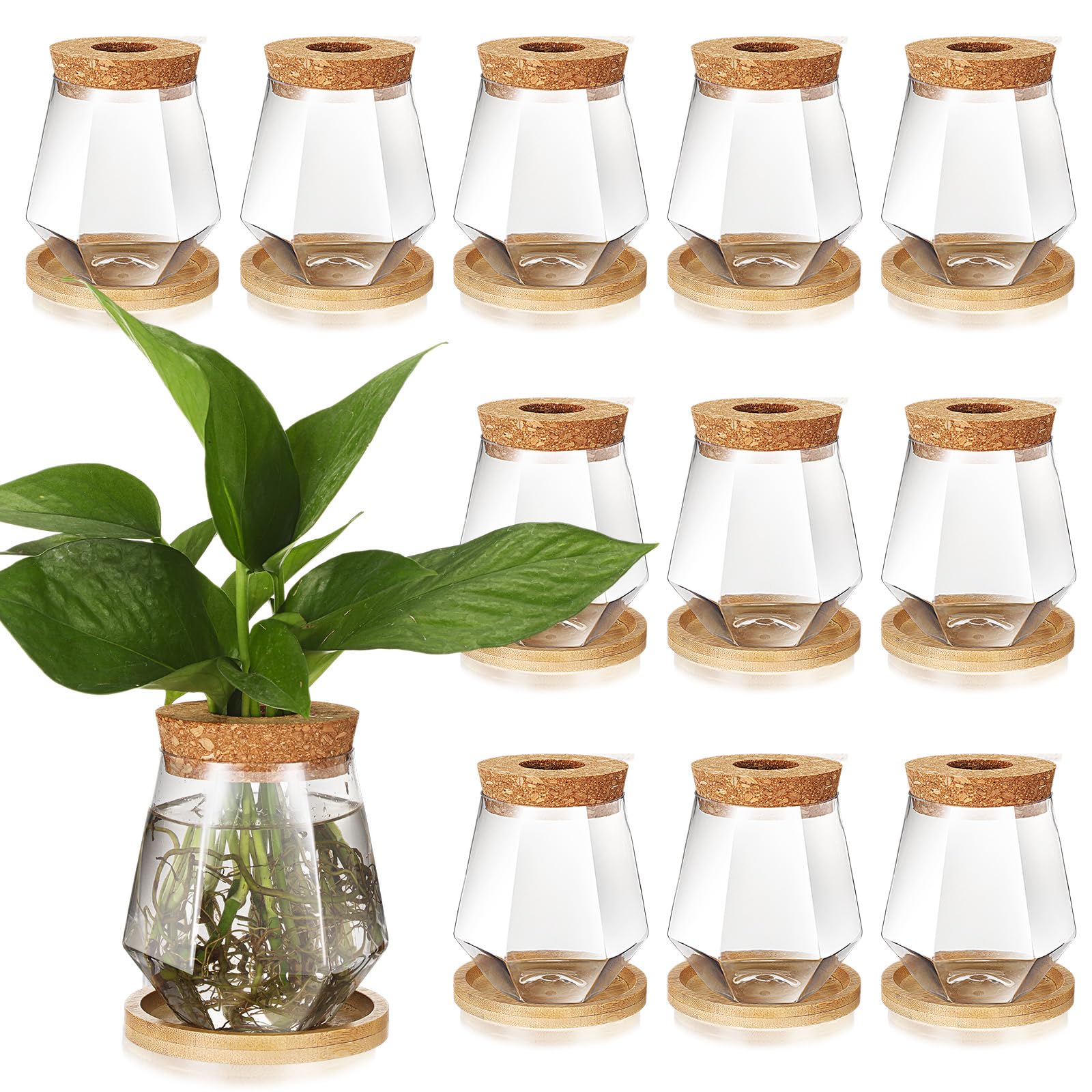 Baderke 12 Packs Propagation Vases for Plants Plastic Plant Propagation ...