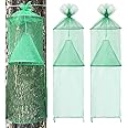 Amazon.com : Qualirey 2 Pack Spotted Lanternfly Traps Lantern Fly ...