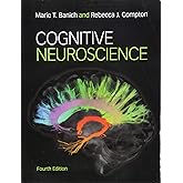 Amazon.com: Left Brain, Right Brain: Perspectives From Cognitive ...