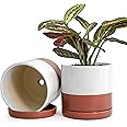 Amazon.com : Set of 2 Plants Pot, 6 Inch Ceramic Planter Pot for Plants ...