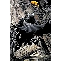 Amazon.com: Batman: Time and the Batman: 9781401229900: Morrison, Grant ...