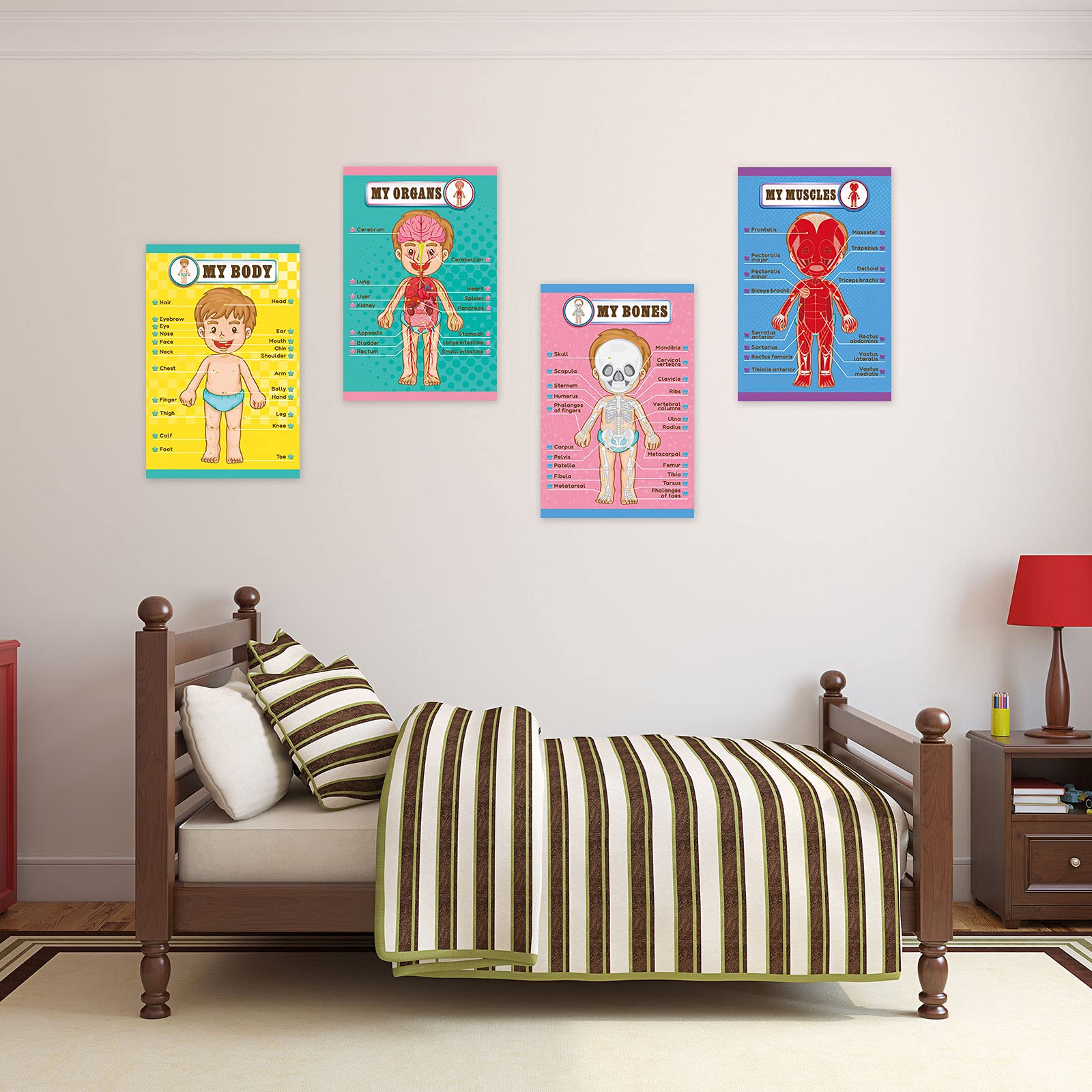 Mua Human Body Educational Learning Posters Body Parts Learning Wall ...