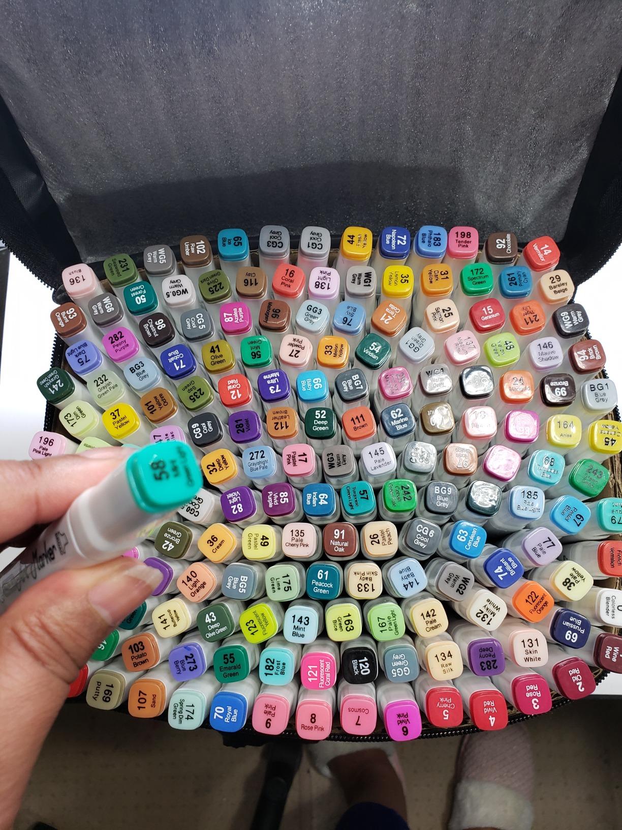 $10/mo - Finance Lineon 172 Colors Alcohol Based Dual Tip Art ,171+1 ...