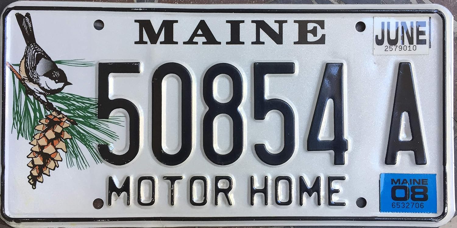 Amazon.com: Maine Pine Cone License Plate: Automotive