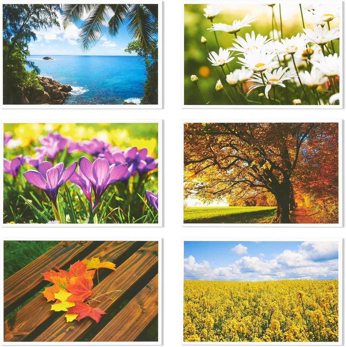 40 Pack Postcards – Four Seasons Postcards – Fall, Autumn, Winter ...