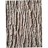 Amazon.com: Artificial Tree Bark, 19.69x39.37 Inch Fake Bark for ...