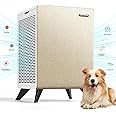 Amazon.com: LUFTRUM Air Purifiers for Home Large Room Up to 2250 ft² ...