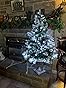 4' Potted Frosted Winter Spruce Flocked Christmas Tree Pre-lit with Cool White LED Lights (4 Ft ...