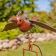 Amazon.com: Flying Bird Metal Rocking Stakes in a Painted Rusty Finish ...
