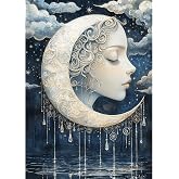 Amazon.com: Generic Moonlit Enchantment Diamond Art Kits for Adults,DIY ...