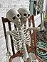 Amazon.com: Two-Headed Life-Size Human Skeleton (5 feet Tall) Posable ...