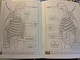 BOOST My First Human Body Coloring Book (Dover Science For Kids ...