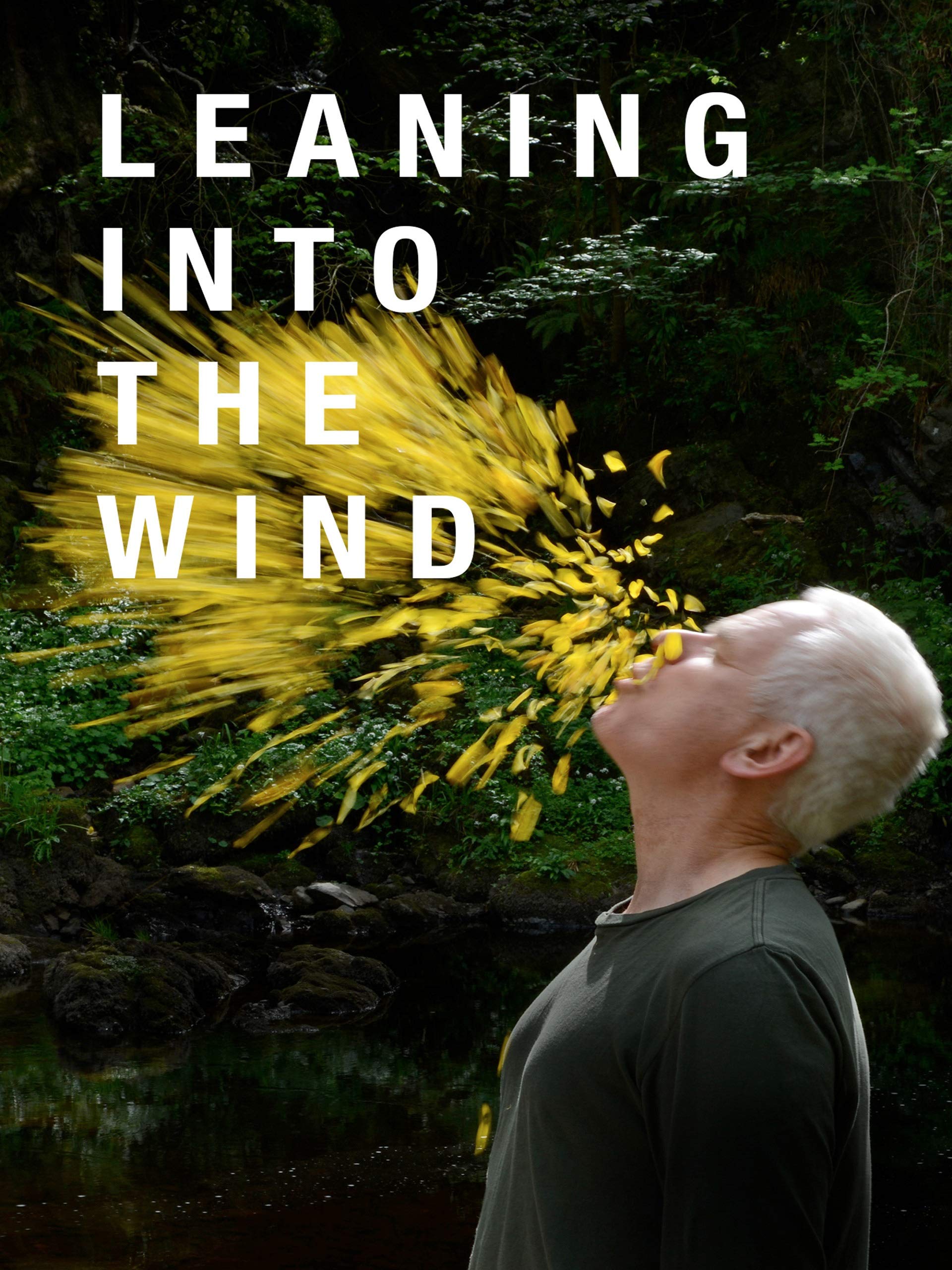 Watch Leaning Into the Wind | Prime Video