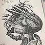 Alien Covenant: David’s Drawings: Hallett, Dane, Hatton, Matt ...