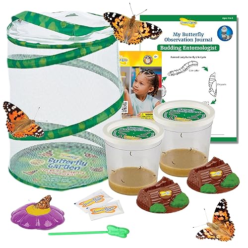 Insect Lore Butterfly Garden | 10 Live Baby Caterpillars | Habitat ...