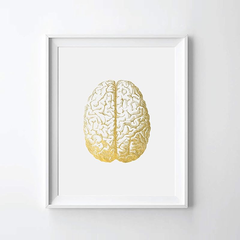 Amazon.com: Human Brain II Gold Foil Art Print Human Brain Anatomy Gold ...