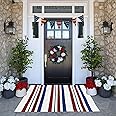 Amazon.com: CAINANEL Blue/White/Red Striped Rug 4th of July Door Mat ...