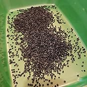 Amazon.com : 6 Pack Nosorb Non Absorbent Cat Litter Urine Test Cup ...