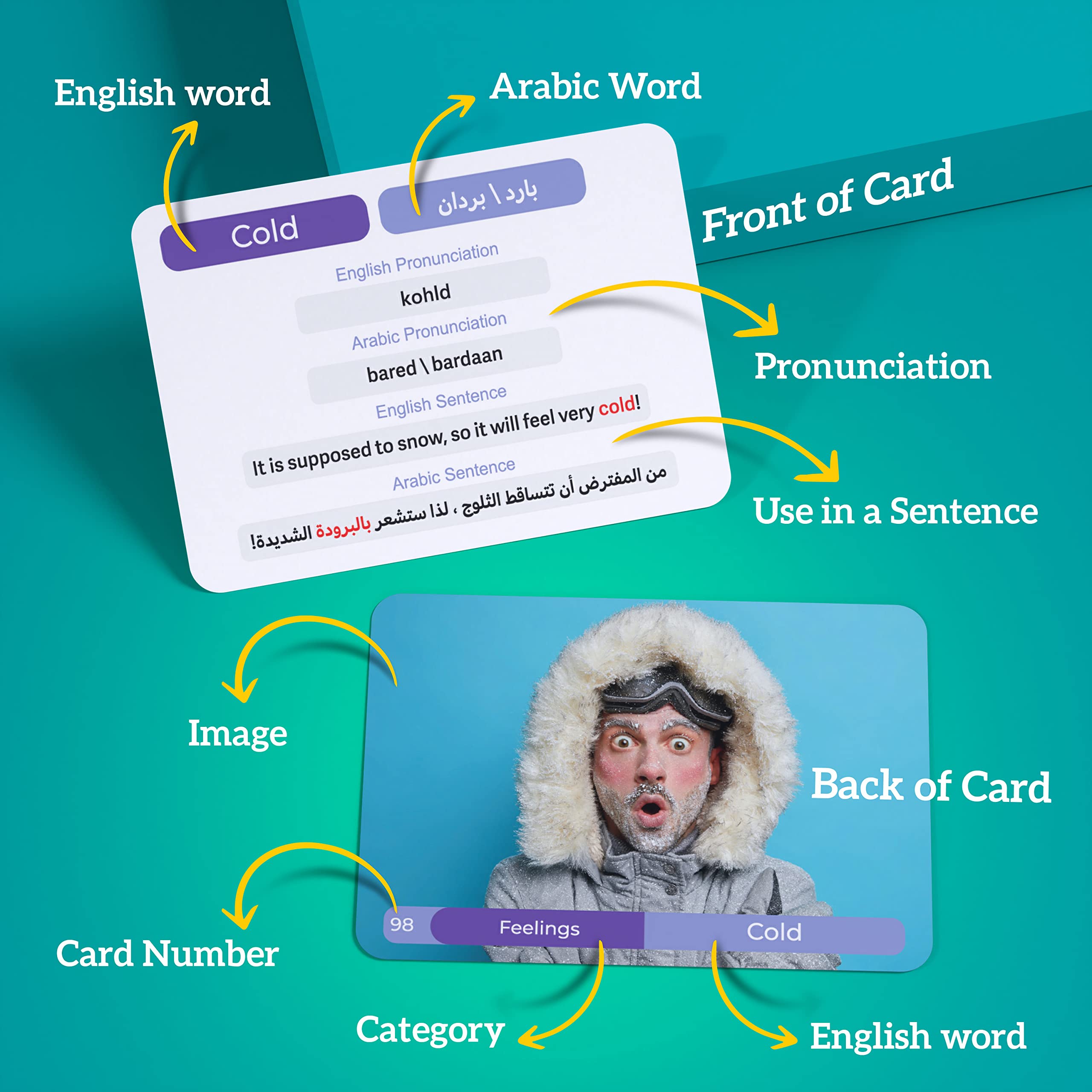 Mua Briston Arabic Vocabulary 300 Flash Cards - Beginner Vocab with ...