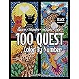 100 QUEST Color By Number: Squares + Triangles + Hexagons + Circles ...