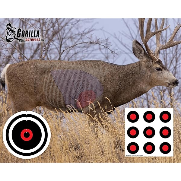 Elk Target