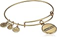 Amazon.com: Alex and Ani "NFL" San Francisco 49ers Logo Expandable Wire Rafaelian Gold-Tone ...
