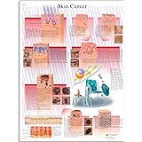 Amazon.com: 3B Scientific VR1231L Glossy Laminated Paper Diseases of The Eye Anatomical Chart ...