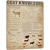Amazon.com: Goat Knowledge Metal Tin Signs Goat Anatomy Vintage Poster ...